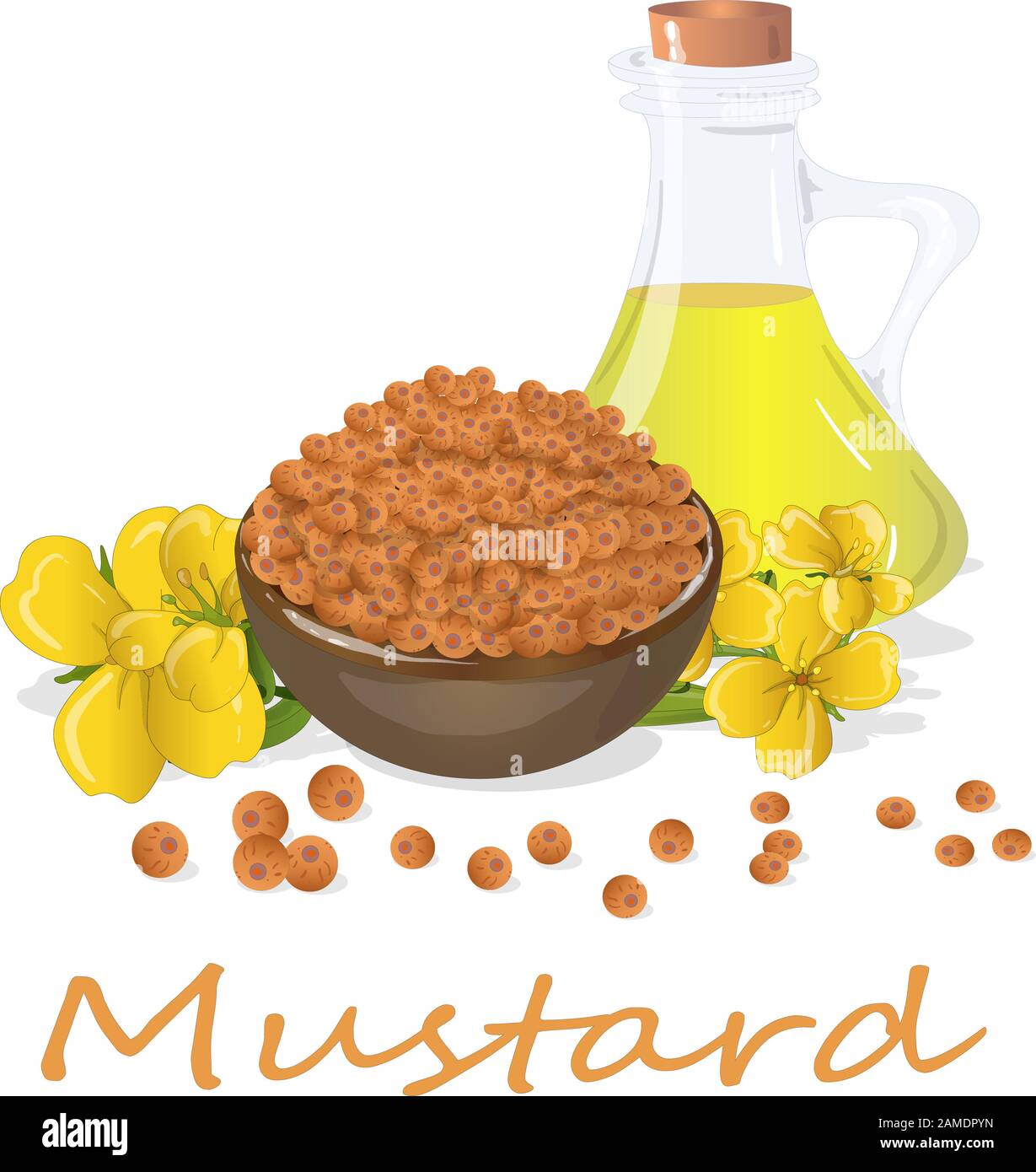 Collection of mustard vector illustrations: mustard seeds, flower ...