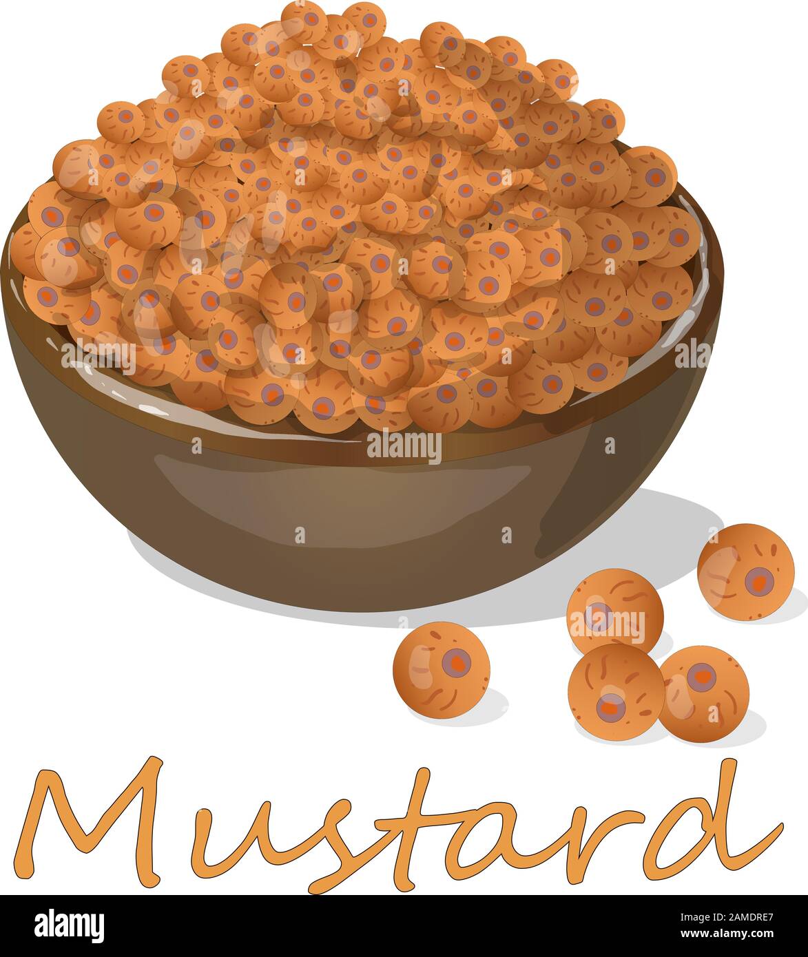 Collection of mustard vector illustrations: mustard seeds, flower ...