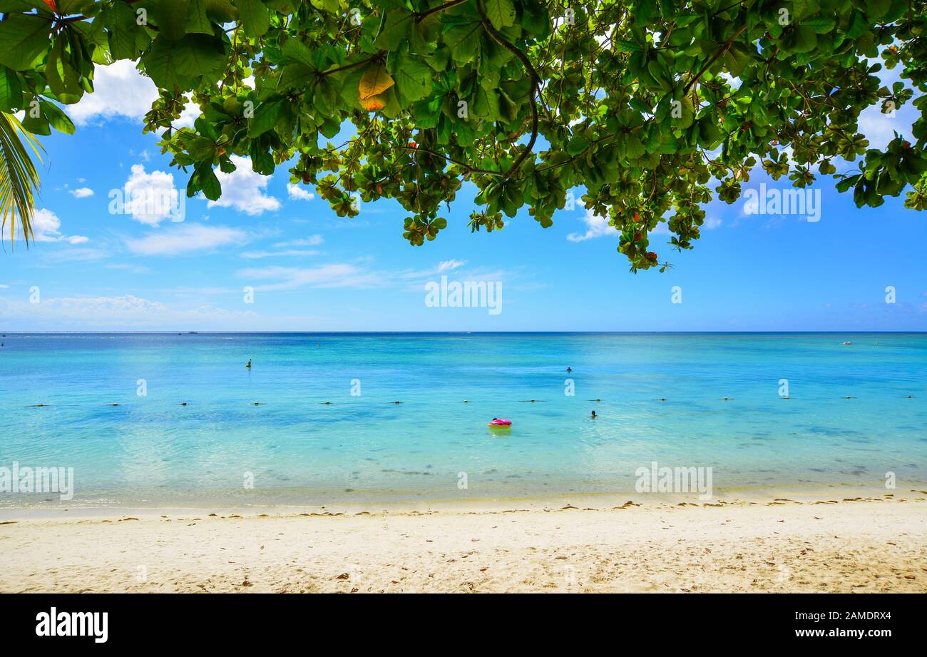 Beautiful seascape of Mauritius Island. Mauritius is one of the best ...