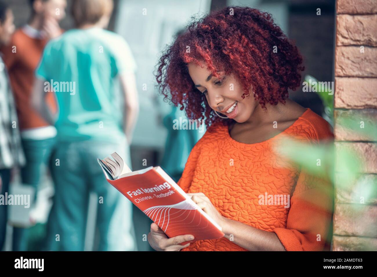 Curly red-haired student feeling involved in reading Chinse book Stock ...
