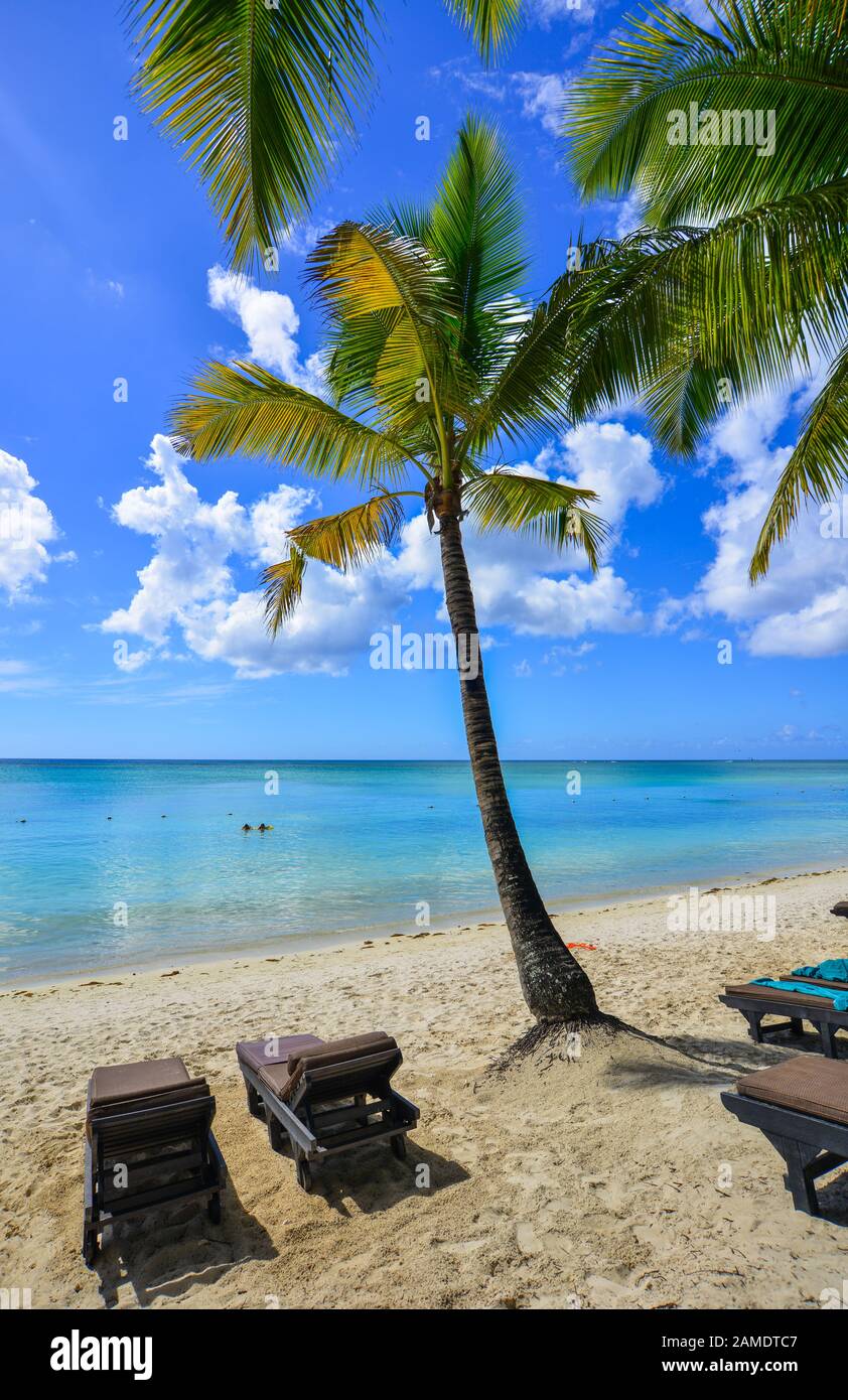 Beautiful seascape of Mauritius Island. Mauritius is one of the best ...