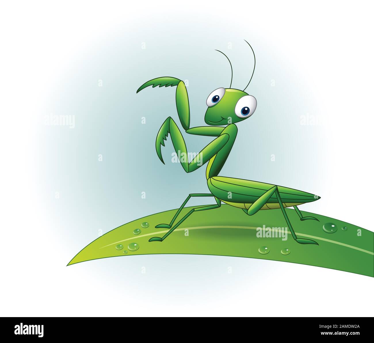 Cartoon praying mantis on leaf Stock Vector Image & Art - Alamy