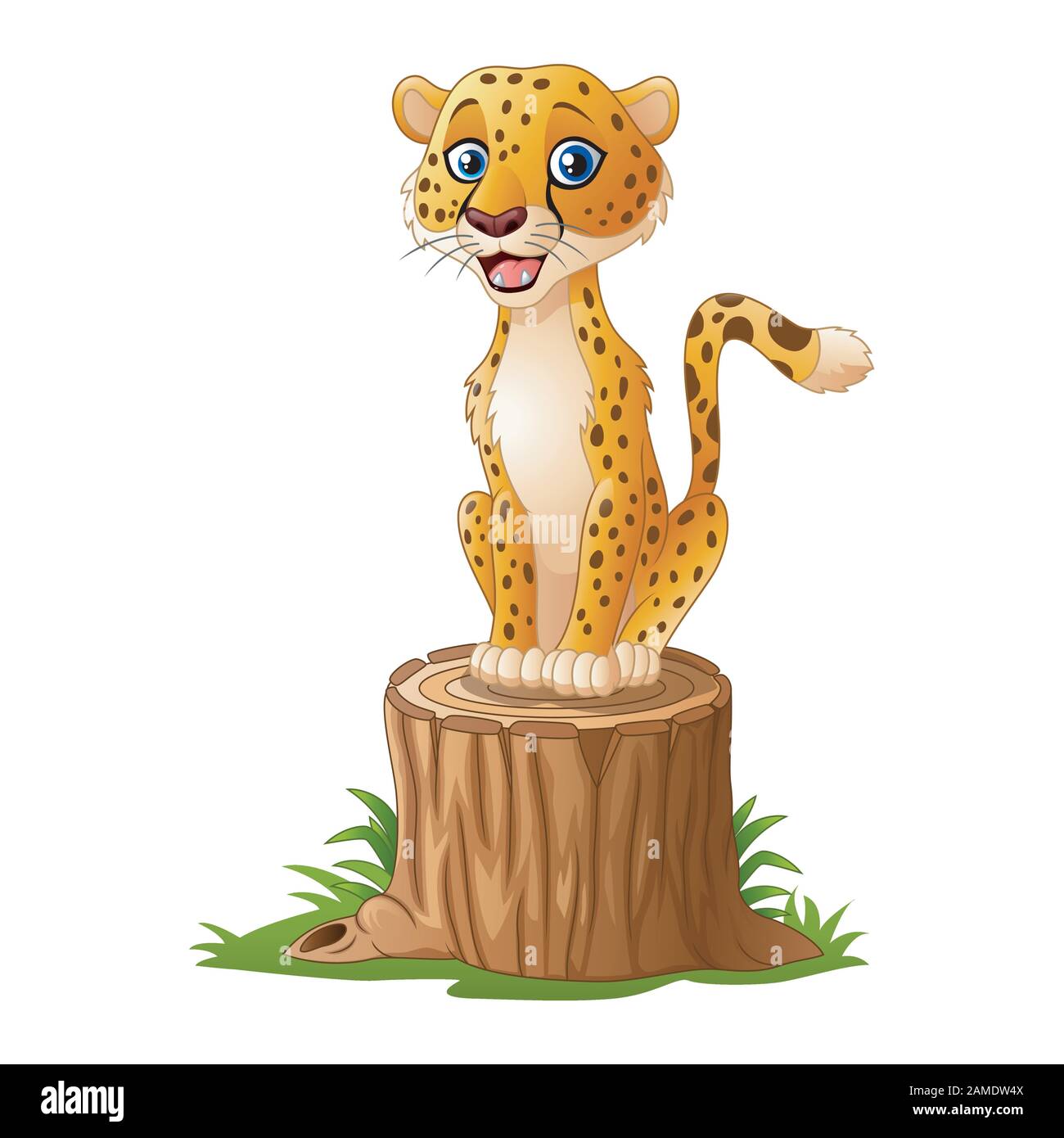 Pet cheetah Cut Out Stock Images & Pictures - Alamy