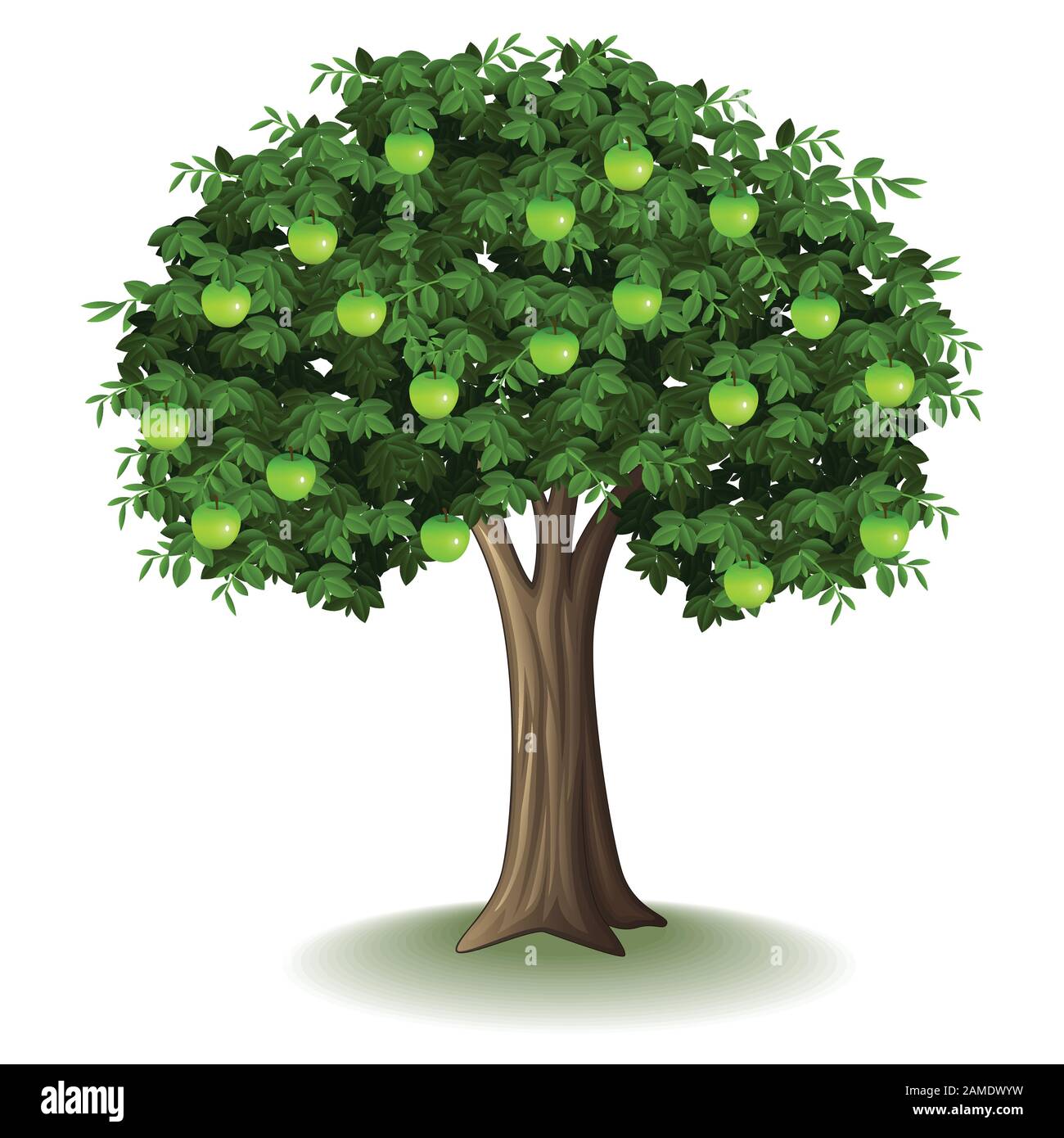 Tall and large woods Stock Vector Images - Alamy