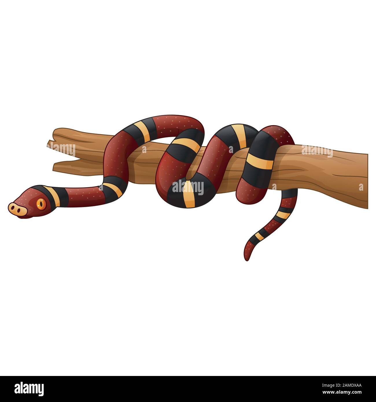 Cartoon snake hi-res stock photography and images - Alamy