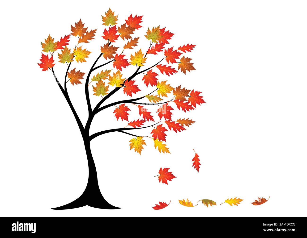 Illustration of autumn tree Stock Vector Image & Art - Alamy