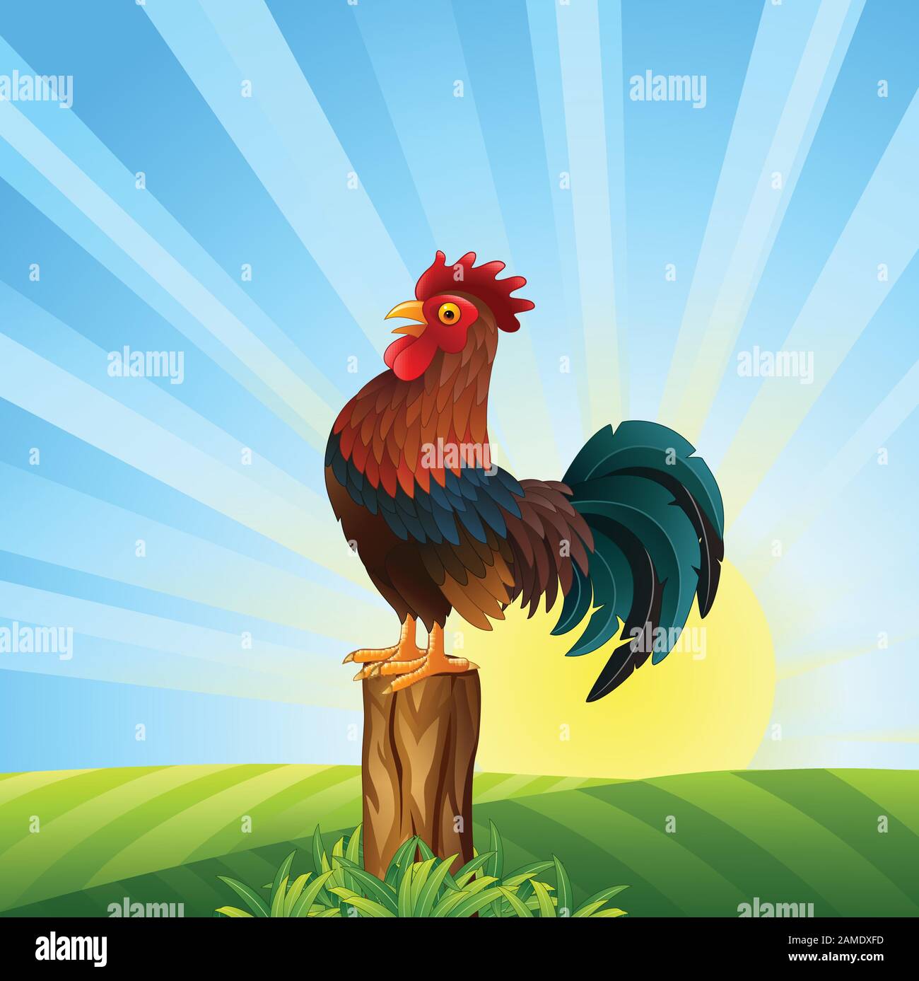 Cartoon rooster crowing isolated on white background Stock Vector Image ...