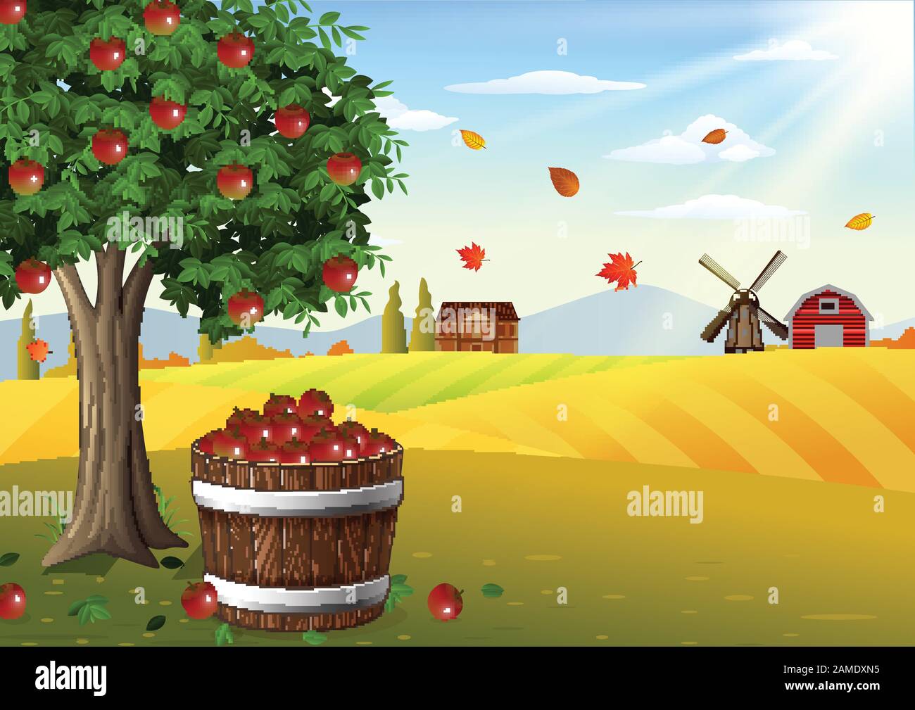 Wind fall apples Stock Vector Images - Alamy