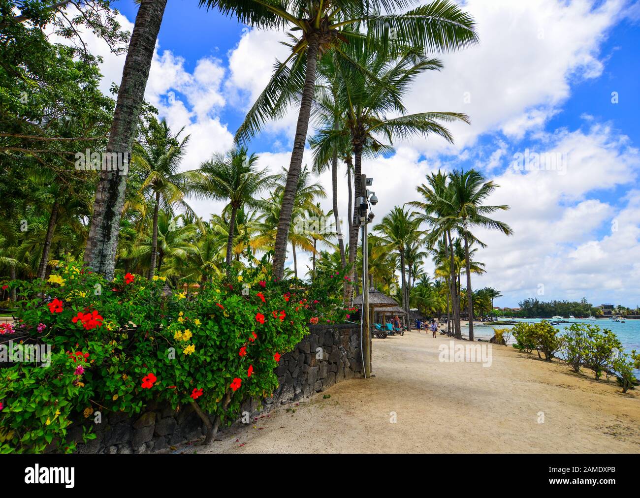 Beautiful seascape of Mauritius Island. Mauritius is one of the best ...