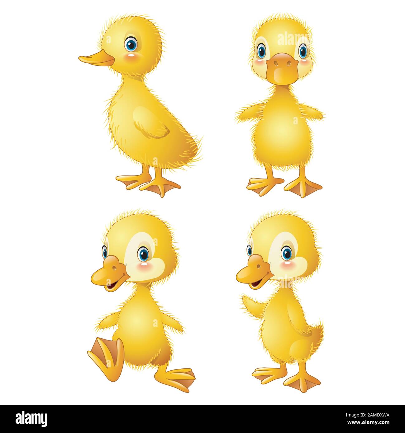 White fluffy duck Stock Vector Images - Alamy