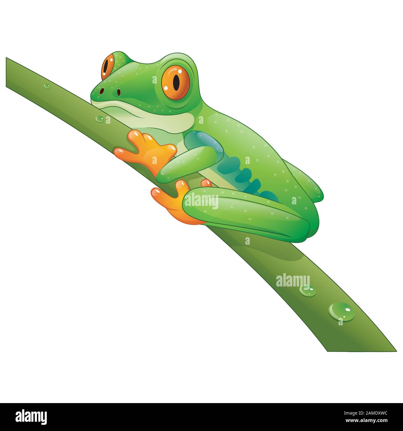 Amazon rainforest wildlife Cut Out Stock Images & Pictures - Alamy