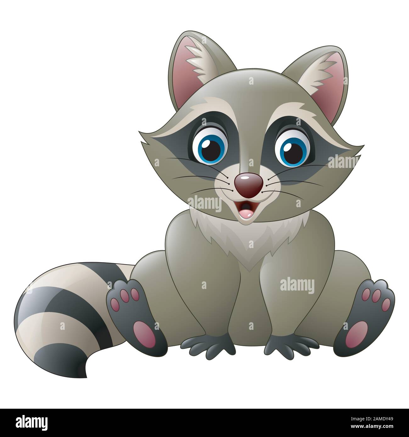 Curious raccoon Cut Out Stock Images & Pictures - Alamy