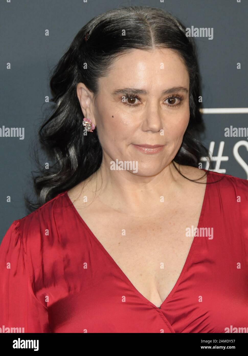 Los Angeles, USA. 12th Jan, 2020. Alex Borstein arrives at the 25th ...