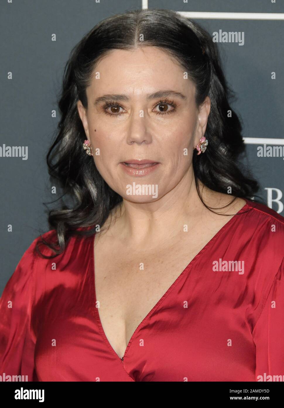 Los Angeles, USA. 12th Jan, 2020. Alex Borstein arrives at the 25th ...