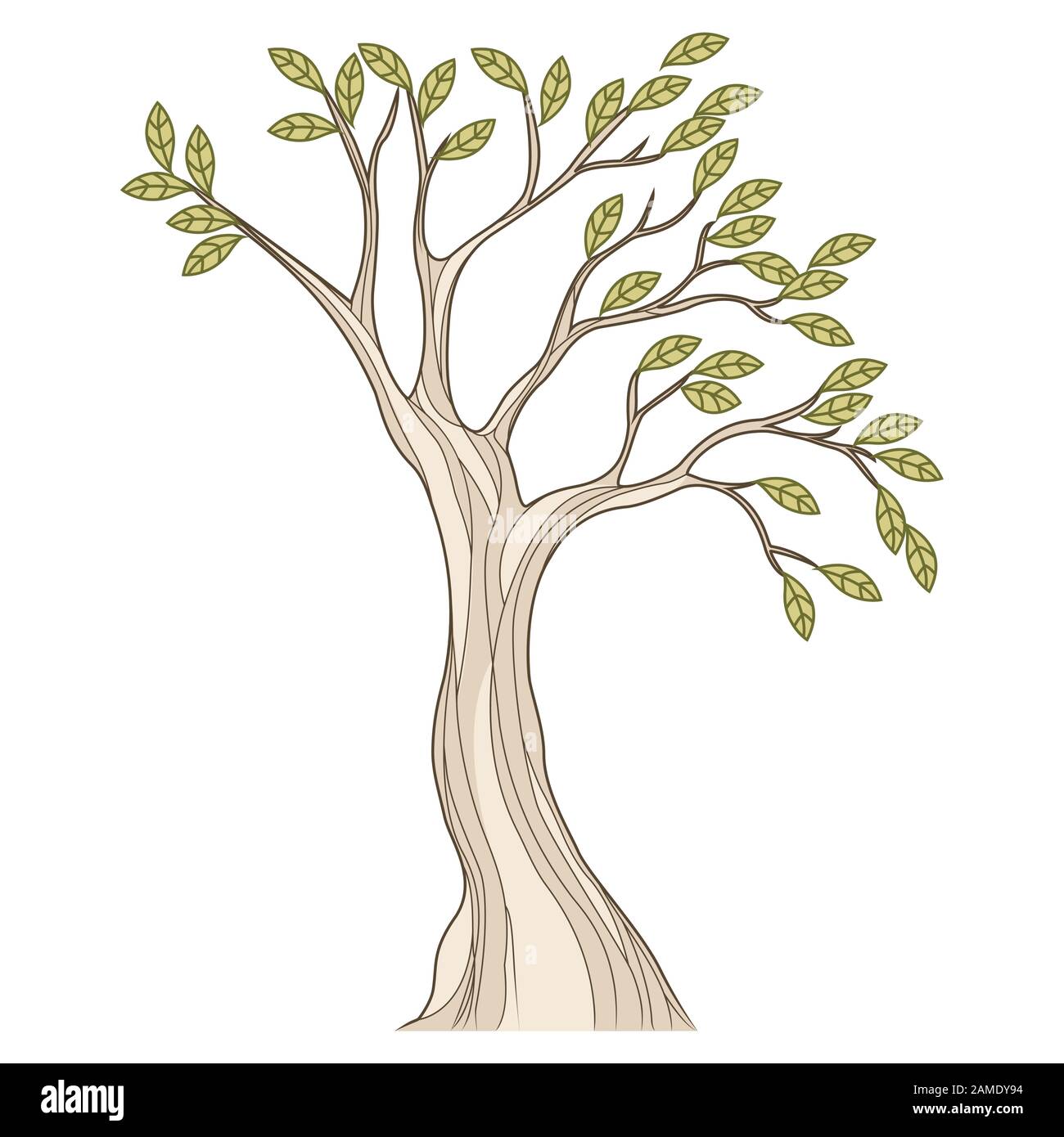 Stylized tree illustration Stock Vector Image & Art - Alamy