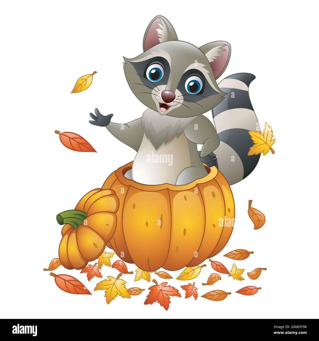 Cute fluffy raccoon in Stock Vector Images - Alamy