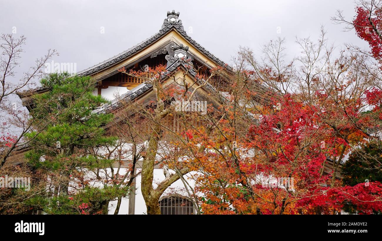 Sendai Japan Autumn High Resolution Stock Photography and Images - Alamy
