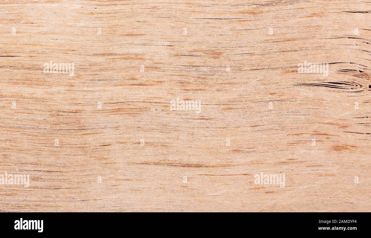 Pages of an old book isolated, yellow and stained Stock Photo - Alamy