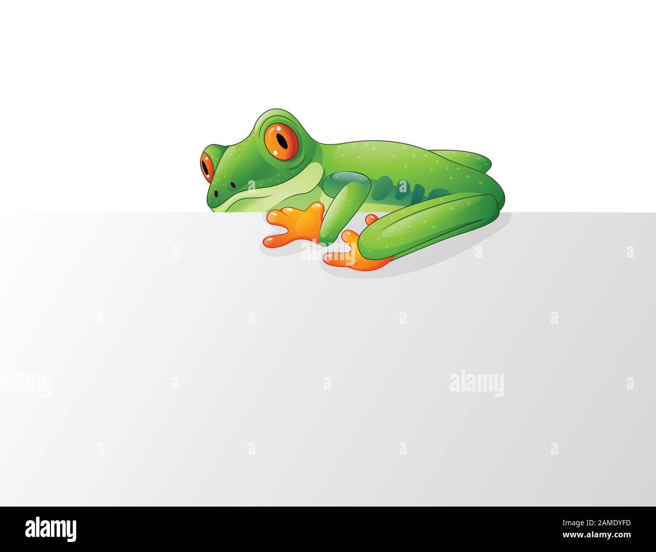 Cartoon cute frog on the blank sign Stock Vector Image & Art - Alamy