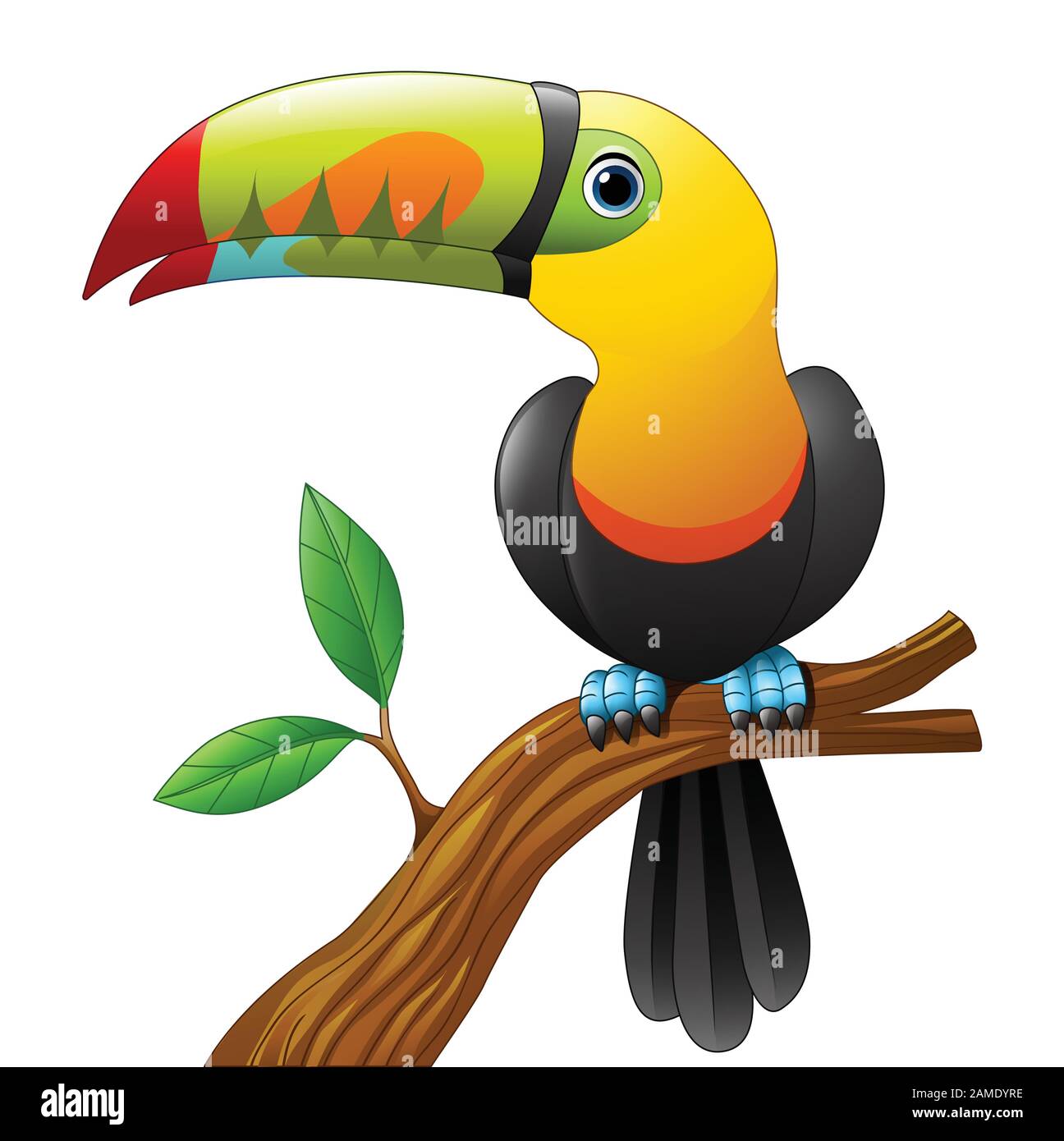 Toucan cartoon sitting on the branch Stock Vector Image & Art - Alamy
