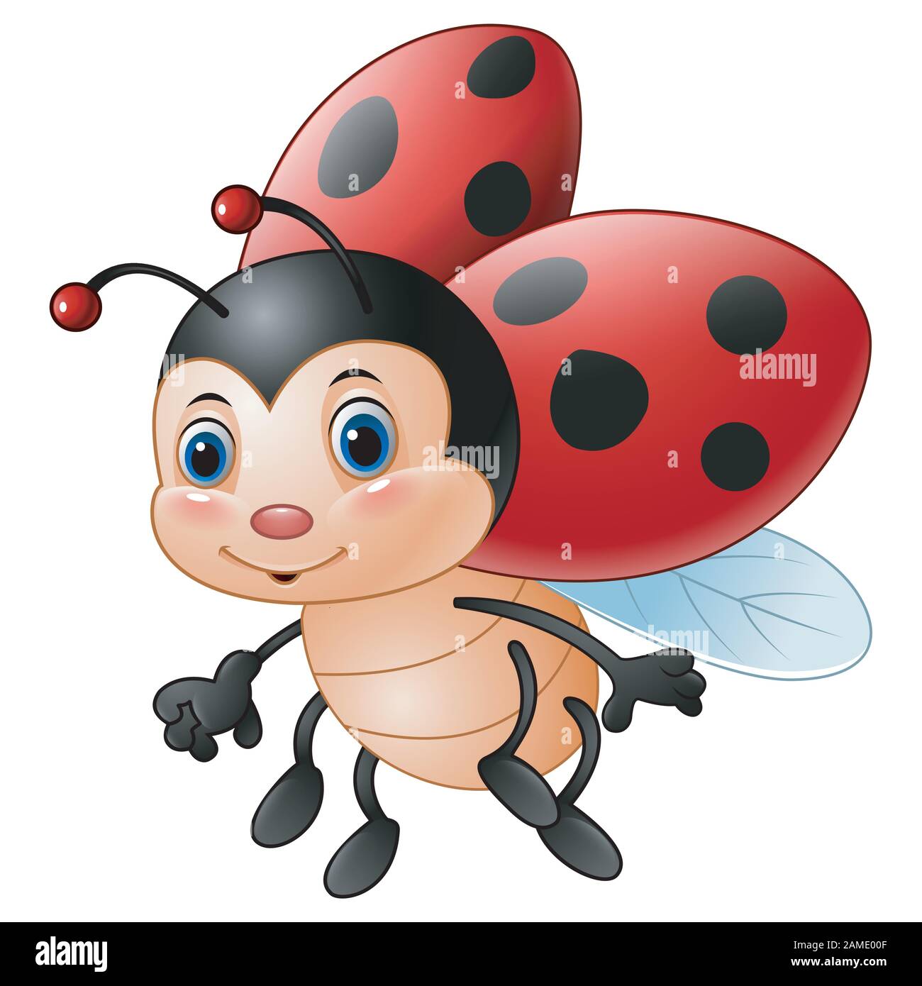 Cartoon funny ladybug Stock Vector Image & Art - Alamy