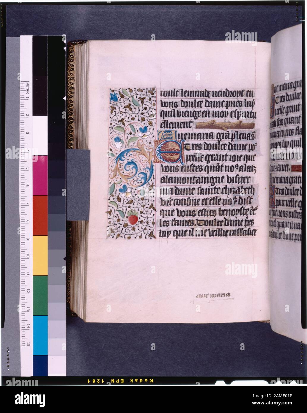 Medieval manuscript border hi-res stock photography and images - Alamy