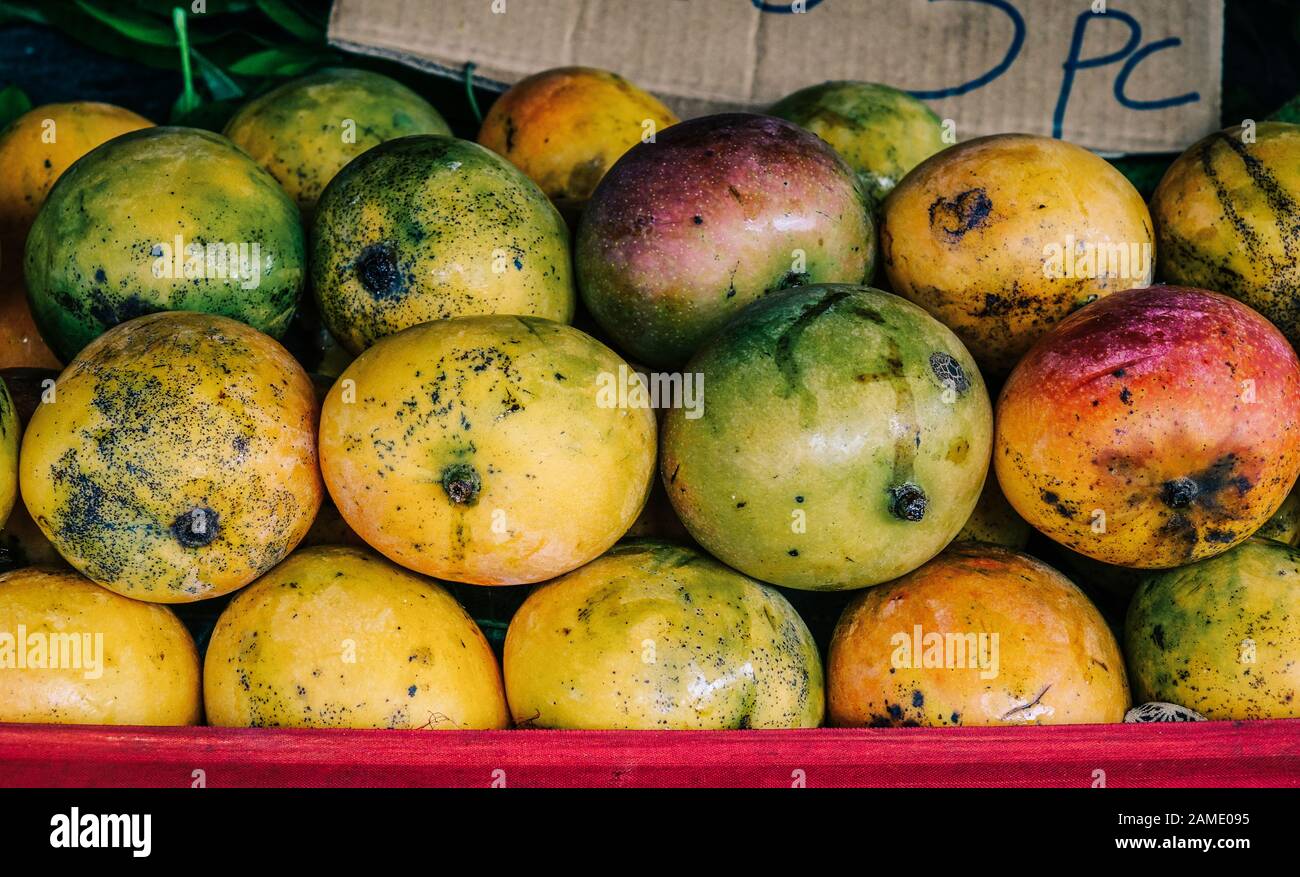 Mango fruits for sale at street market on Mauritius Island Stock Photo ...