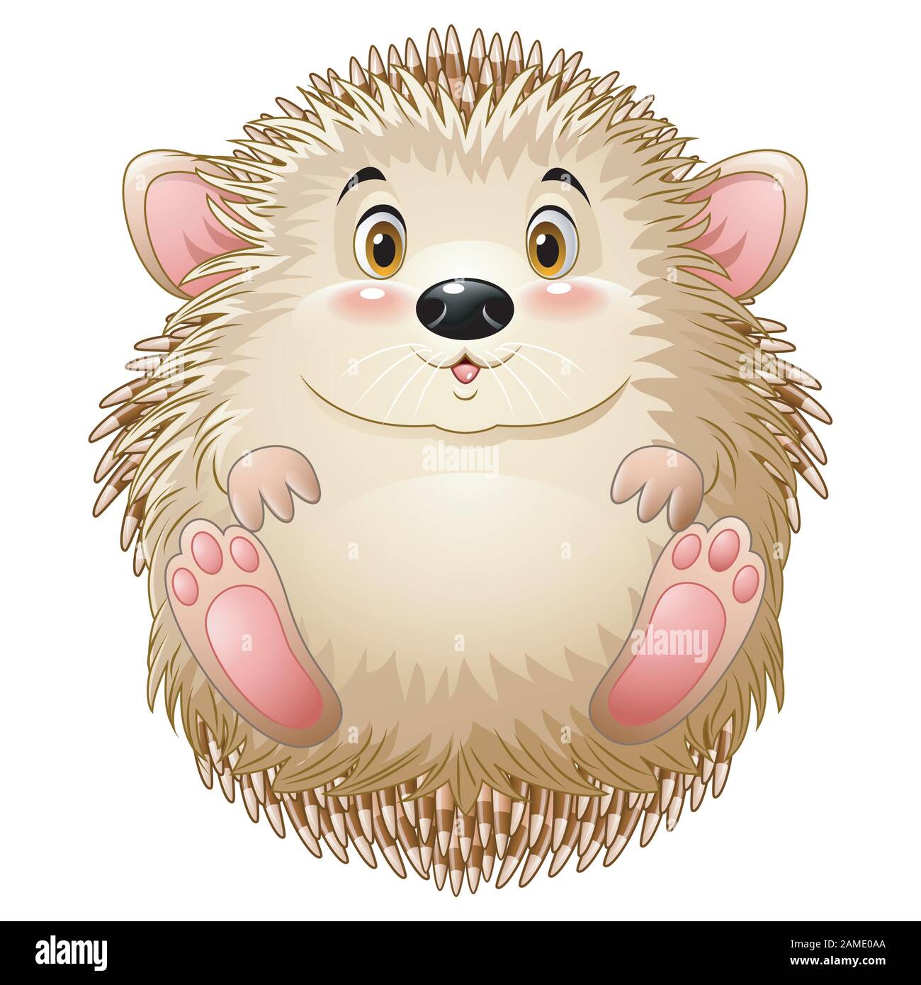 Cute baby hedgehog Stock Vector Image & Art - Alamy