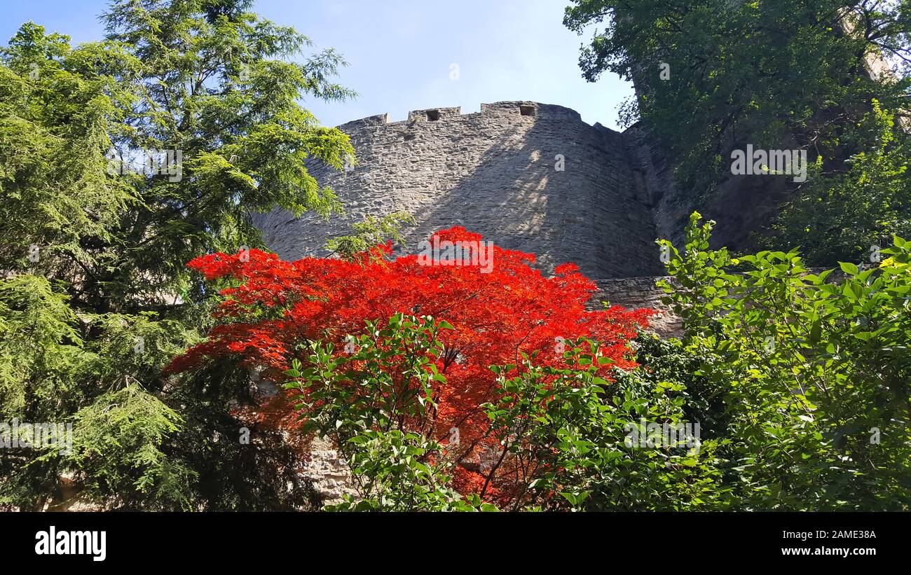 Burg Guttenberg is a castle in Germany Stock Photo - Alamy