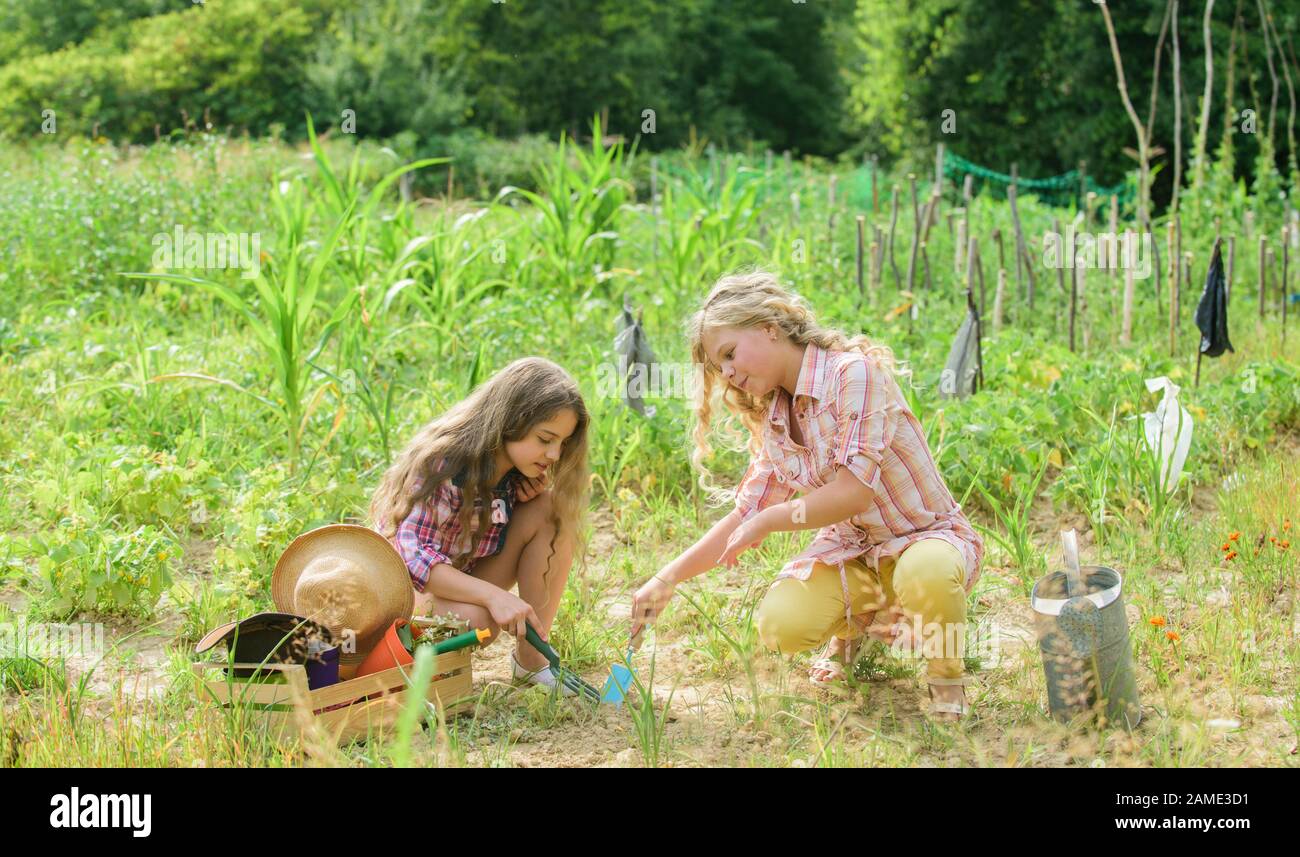 Planting and watering. Girls planting plants. Agriculture concept ...