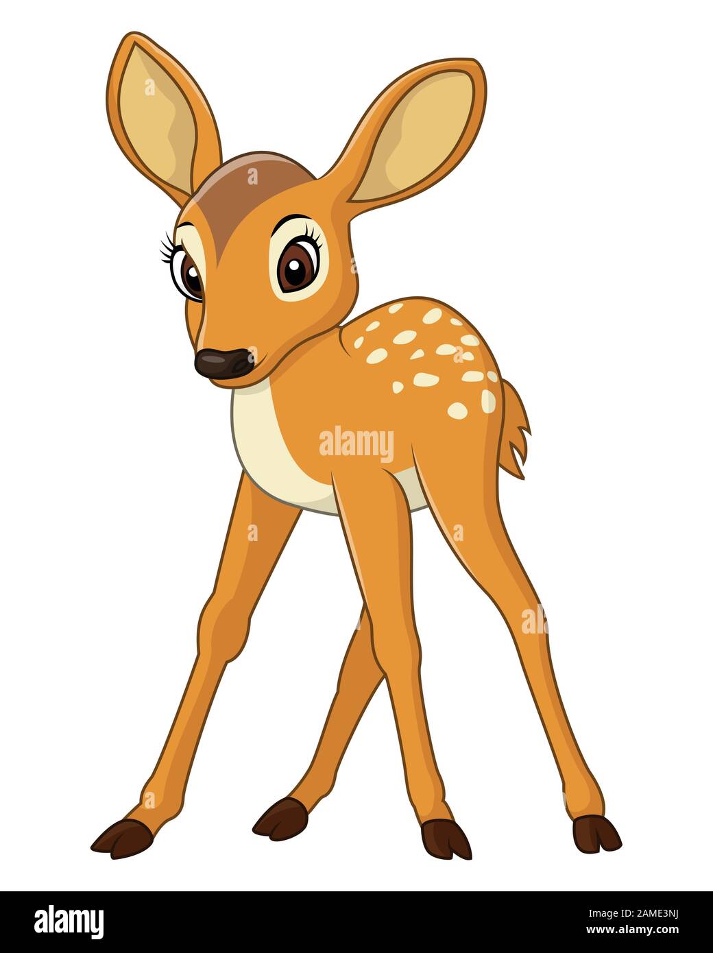 Baby deer doe spotted Cut Out Stock Images & Pictures - Alamy