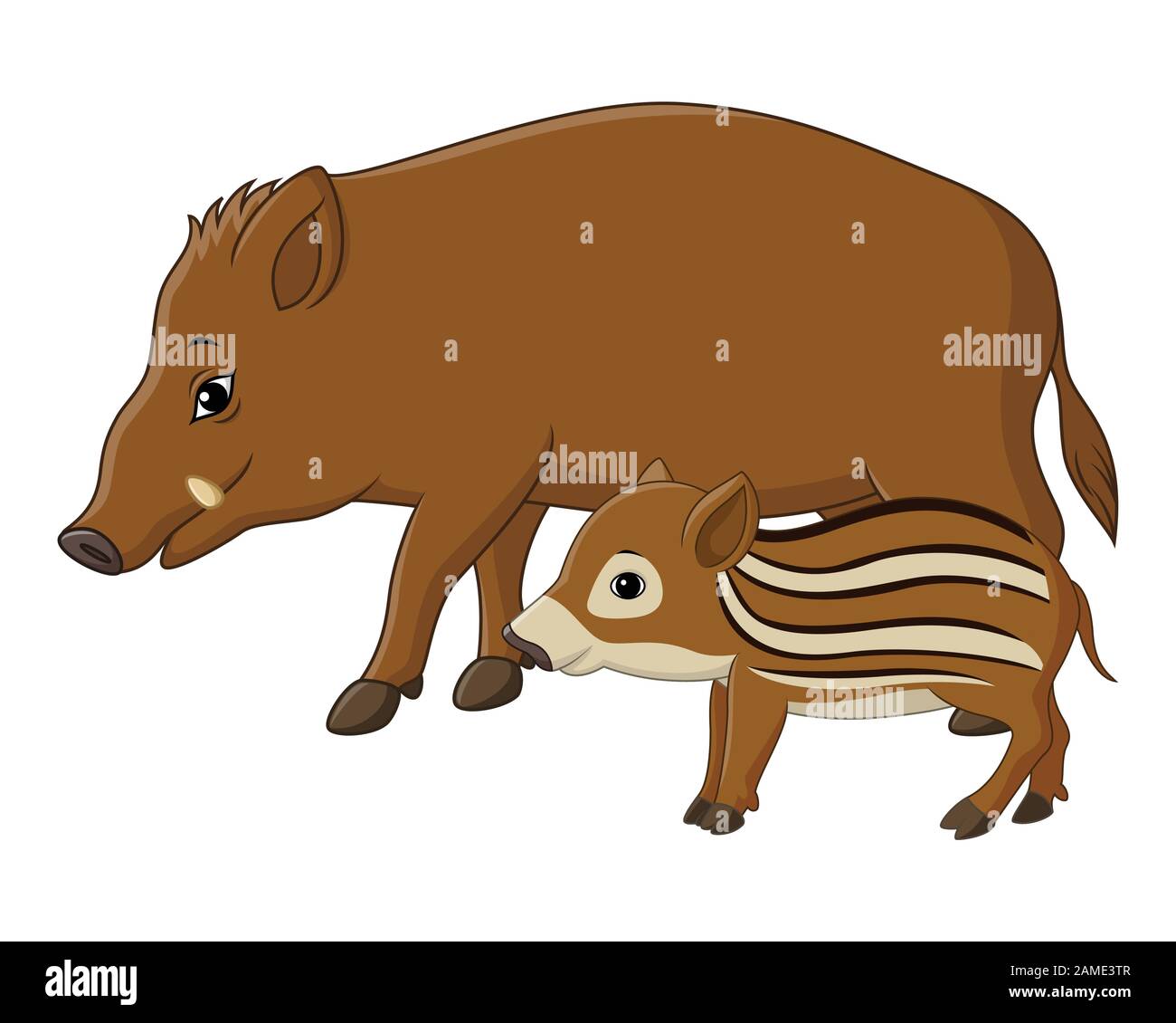 Cartoon wild boar and piglet Stock Vector Image & Art - Alamy