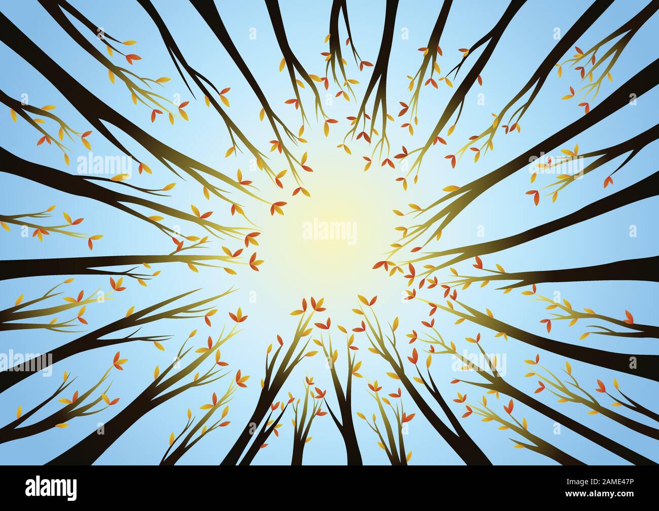 Tree tops in autumn Stock Vector Image & Art - Alamy