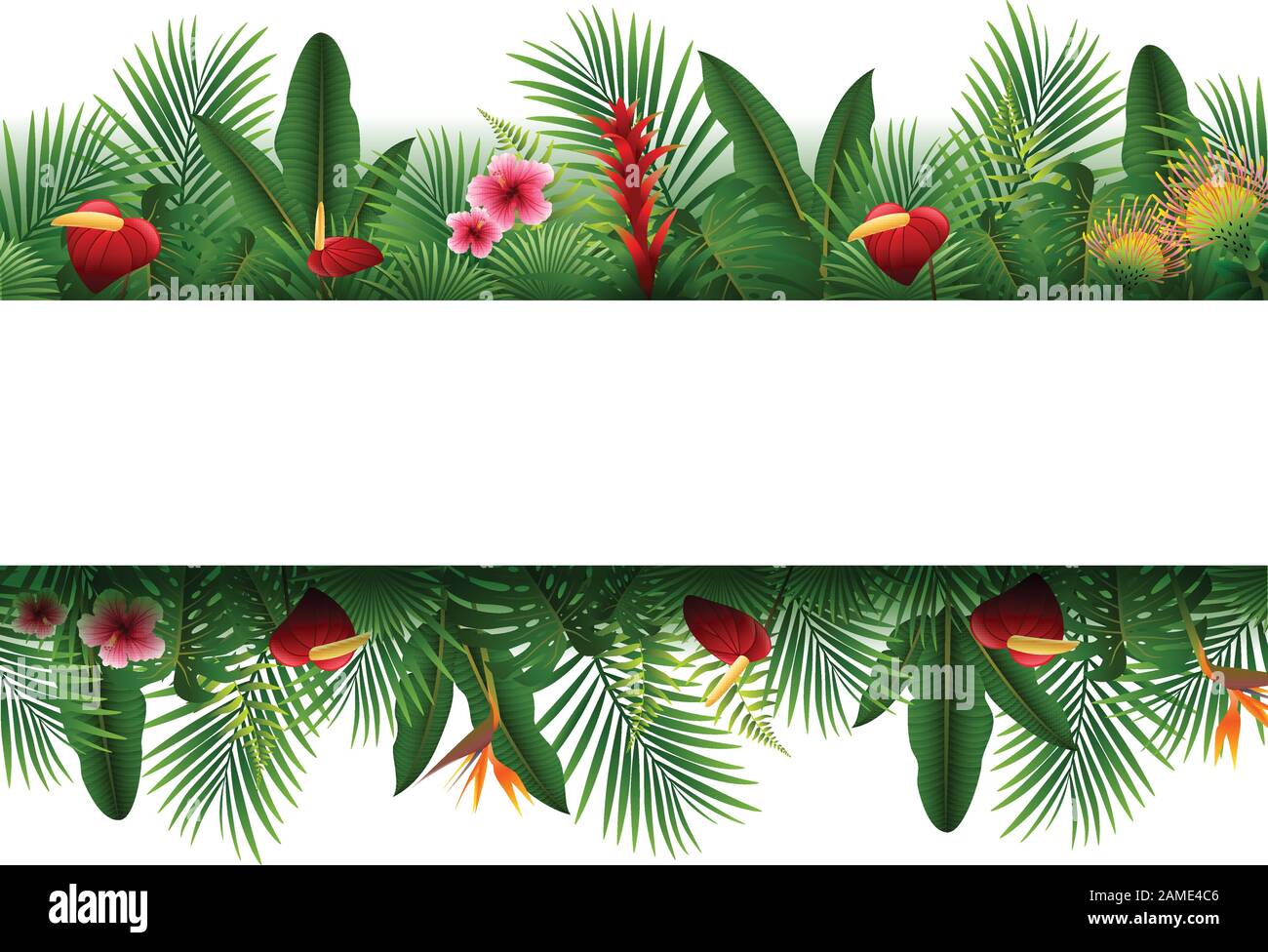 Tree display in forest Stock Vector Images - Alamy