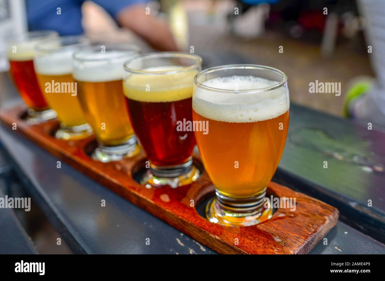Craft beer tasting: five glasses with beers of different colors and ...