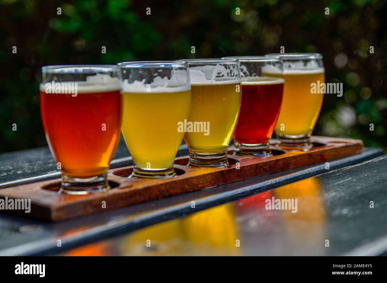 Craft beer tasting: five glasses with beers of different colors and ...
