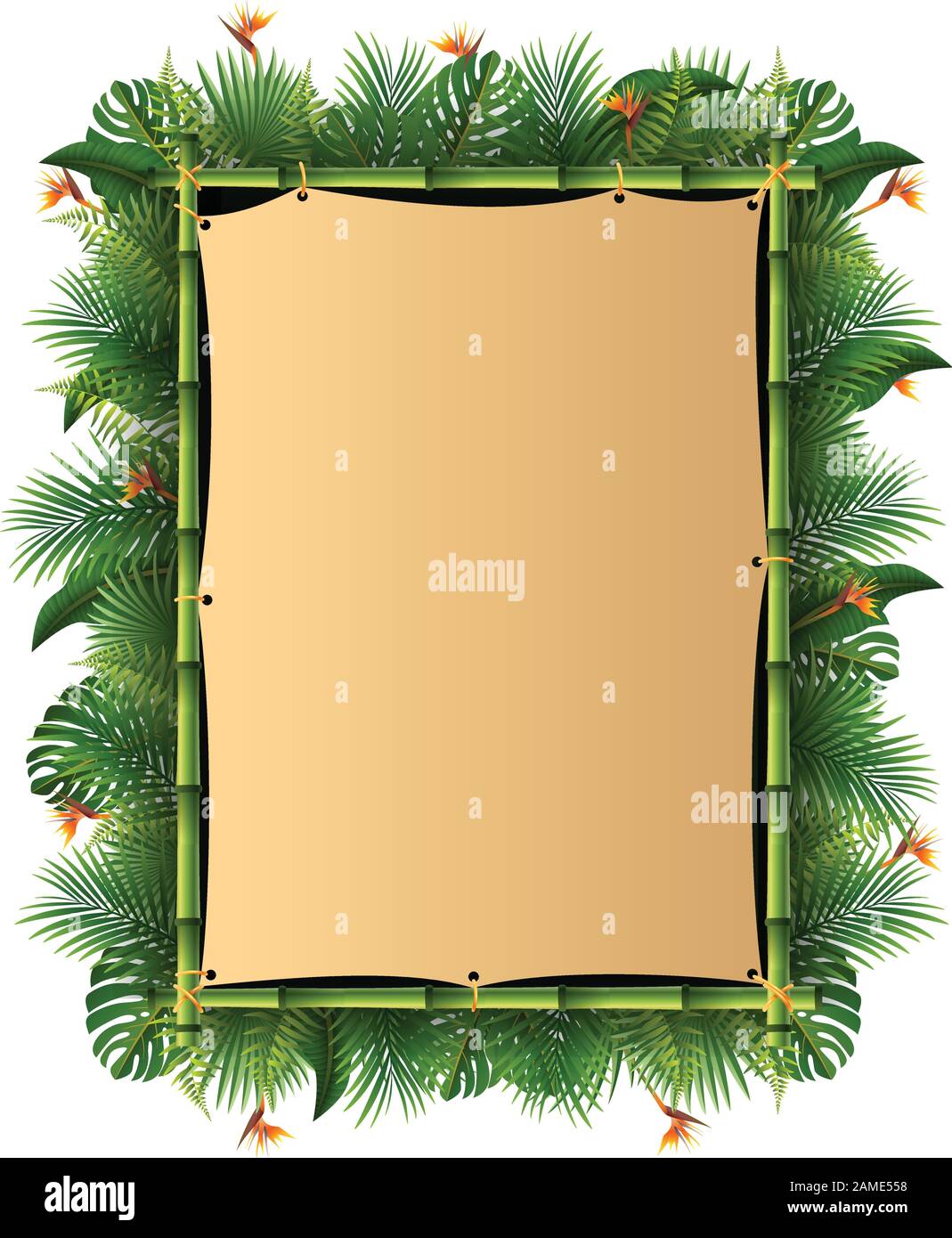 Blank sign with Tropical forest background Stock Vector Image & Art - Alamy