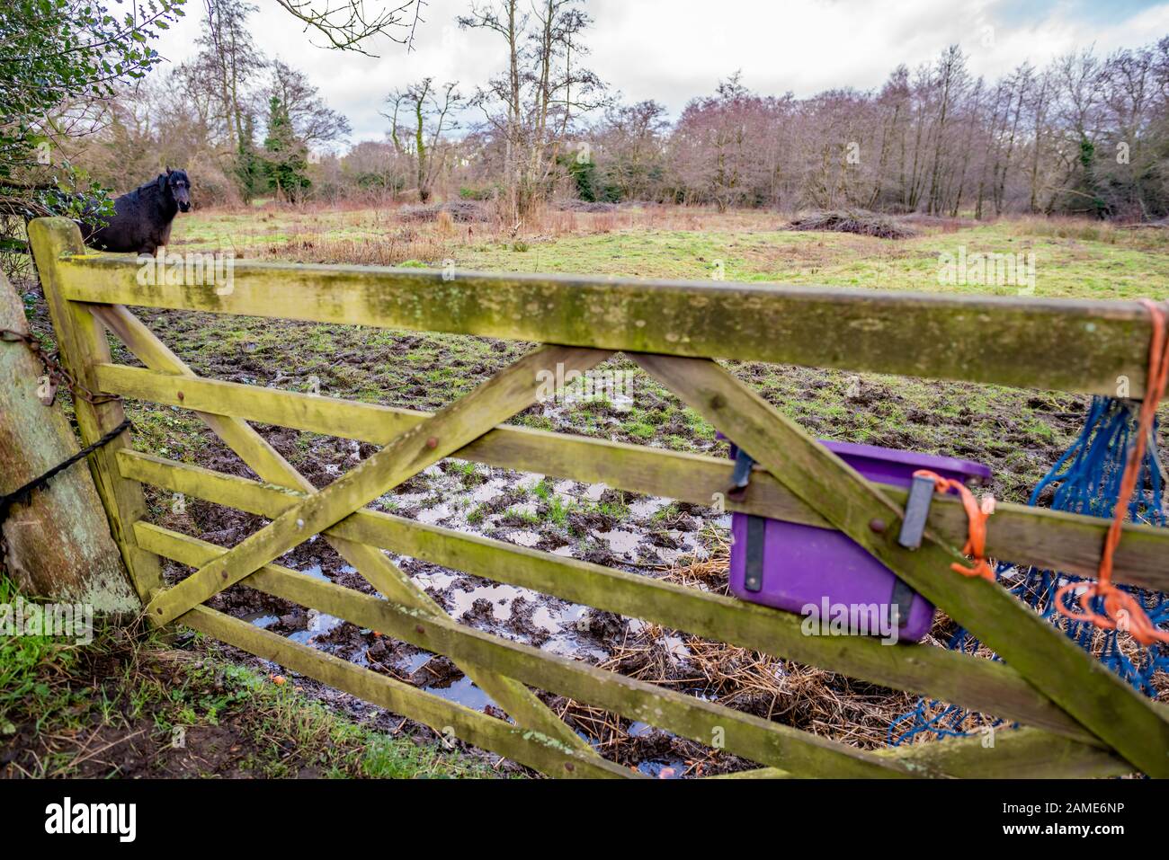 54 Selective focus of feeding trough and hay bag on the wooden fence of ...