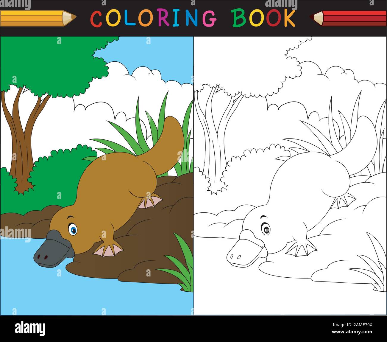 Platypus cartoon coloring book, Australian animals series Stock Vector ...