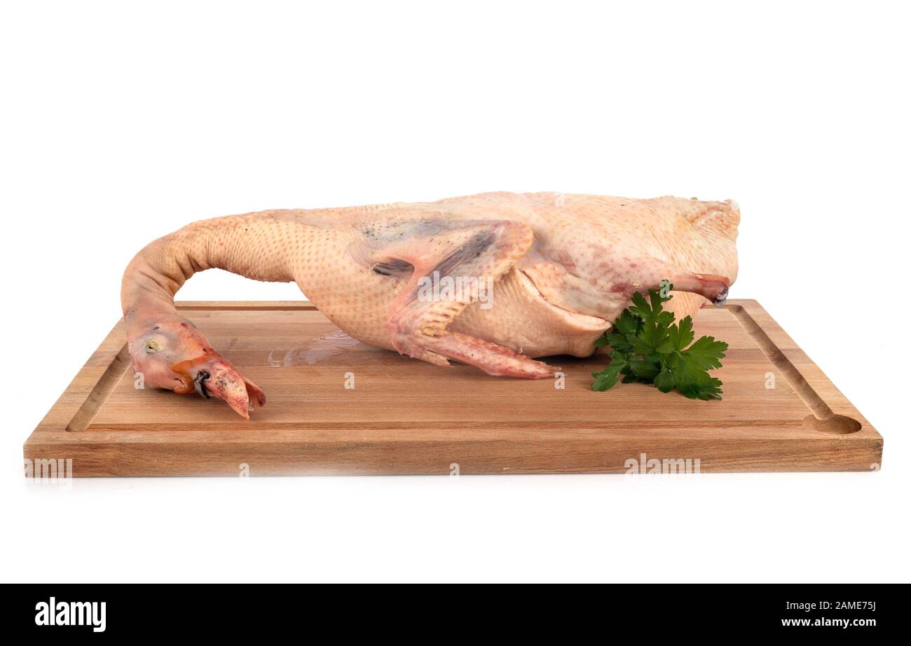 duck meat in front of white background Stock Photo - Alamy