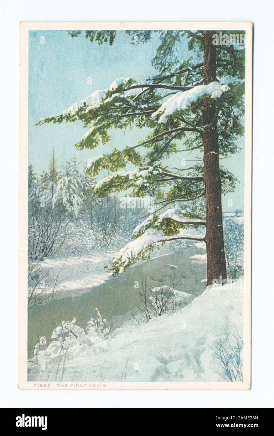 The First Snow, Scenic Postcard series number: 71893 1913-1918, issued ...