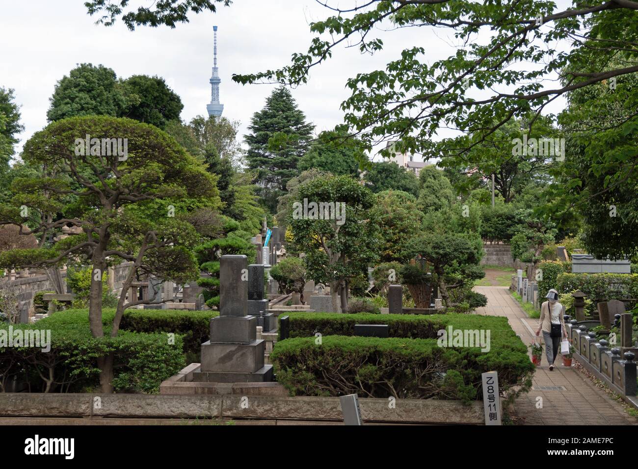 Yanaka cemetery in Tokyo, Japan, Asia. Old Japanese graveyard with ...