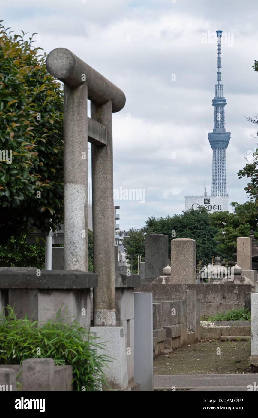 Yanaka cemetery in Tokyo, Japan, Asia. Old Japanese graveyard with ...