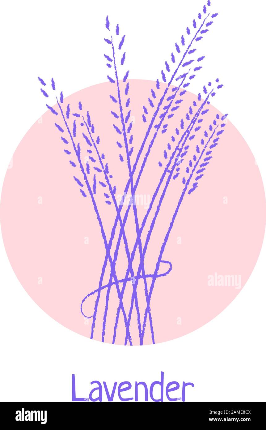 Hand drawn set spa Stock Vector Images - Alamy