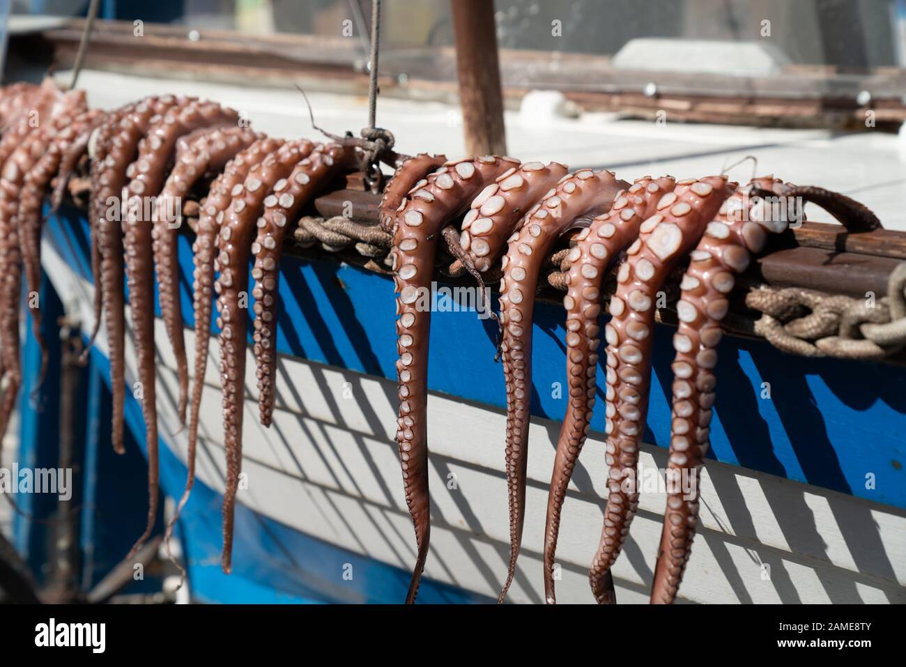 Octopus tentacles lying over side of boats on Greek Island sidewalk ...