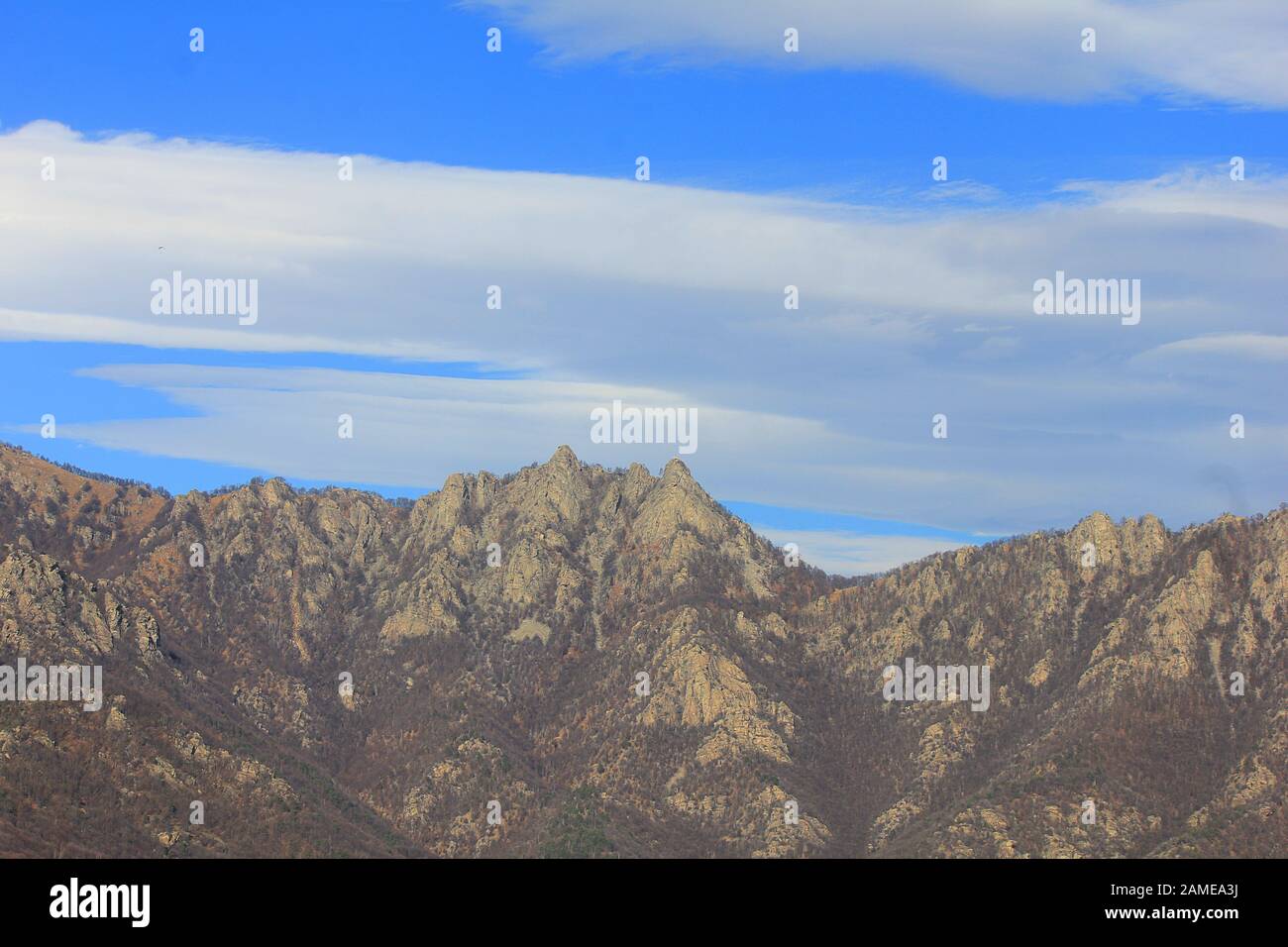 Winter without snow hi-res stock photography and images - Alamy