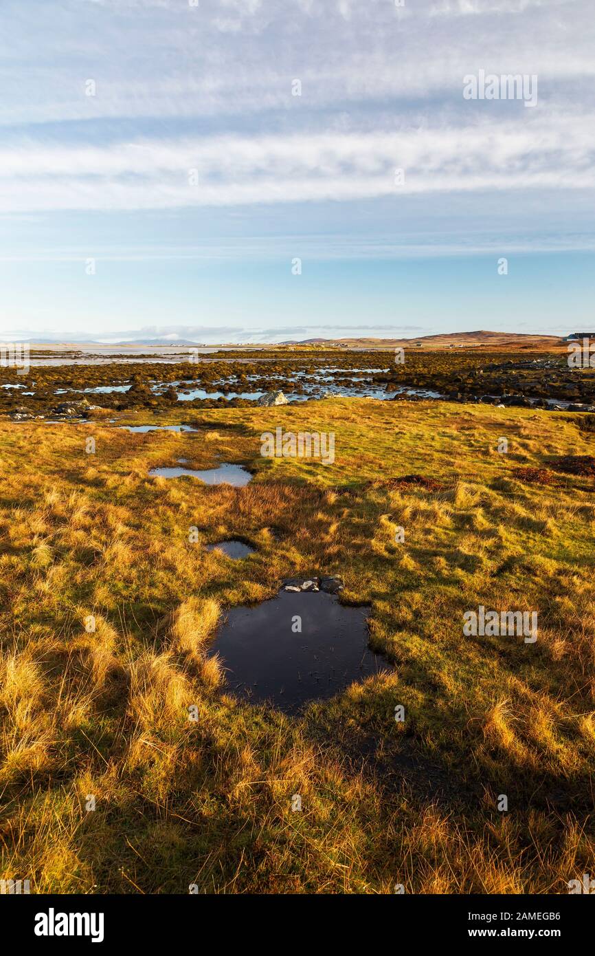 Salty grass marsh hi-res stock photography and images - Alamy