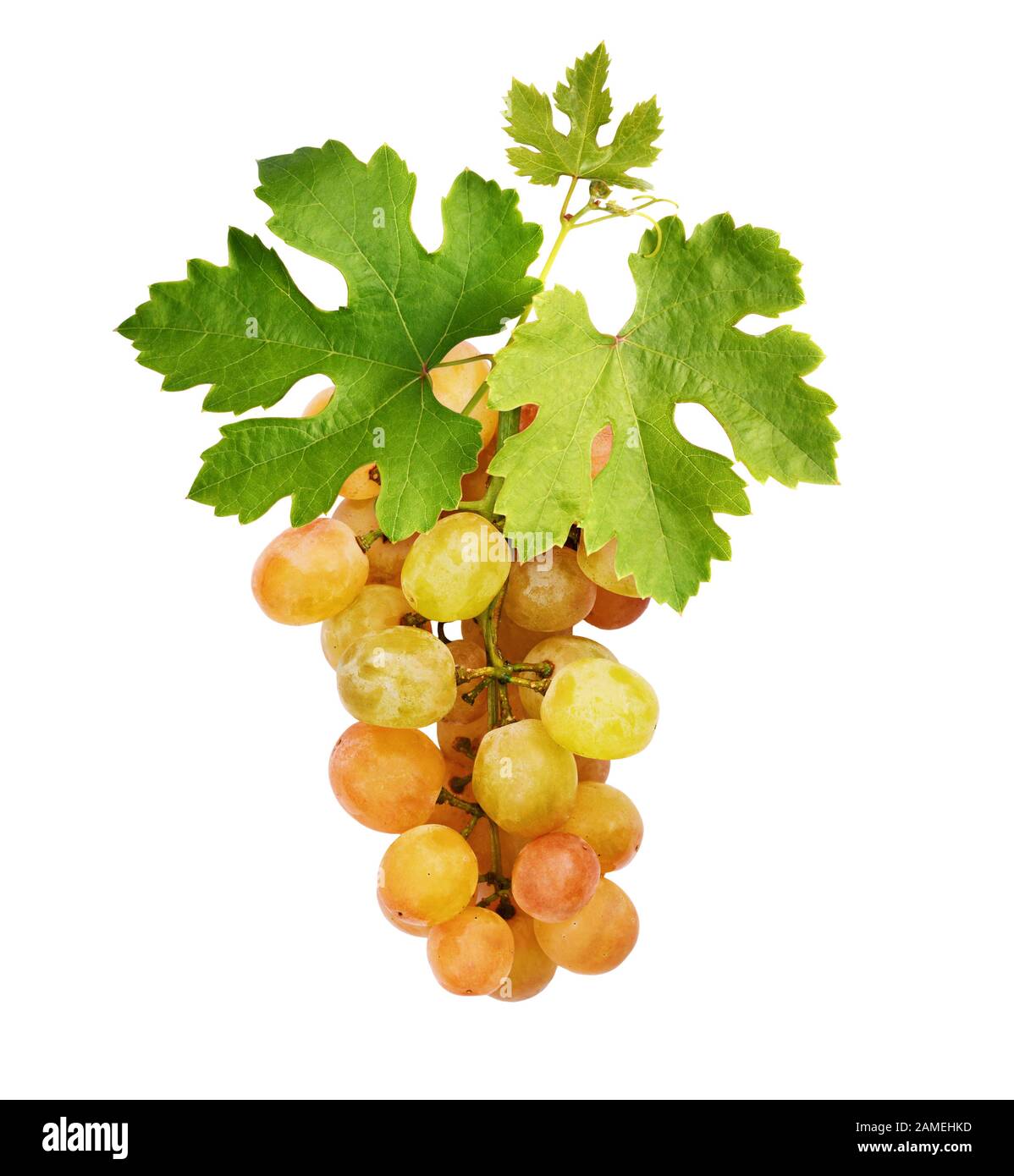 Bunch of grapes with leaves hi-res stock photography and images - Alamy