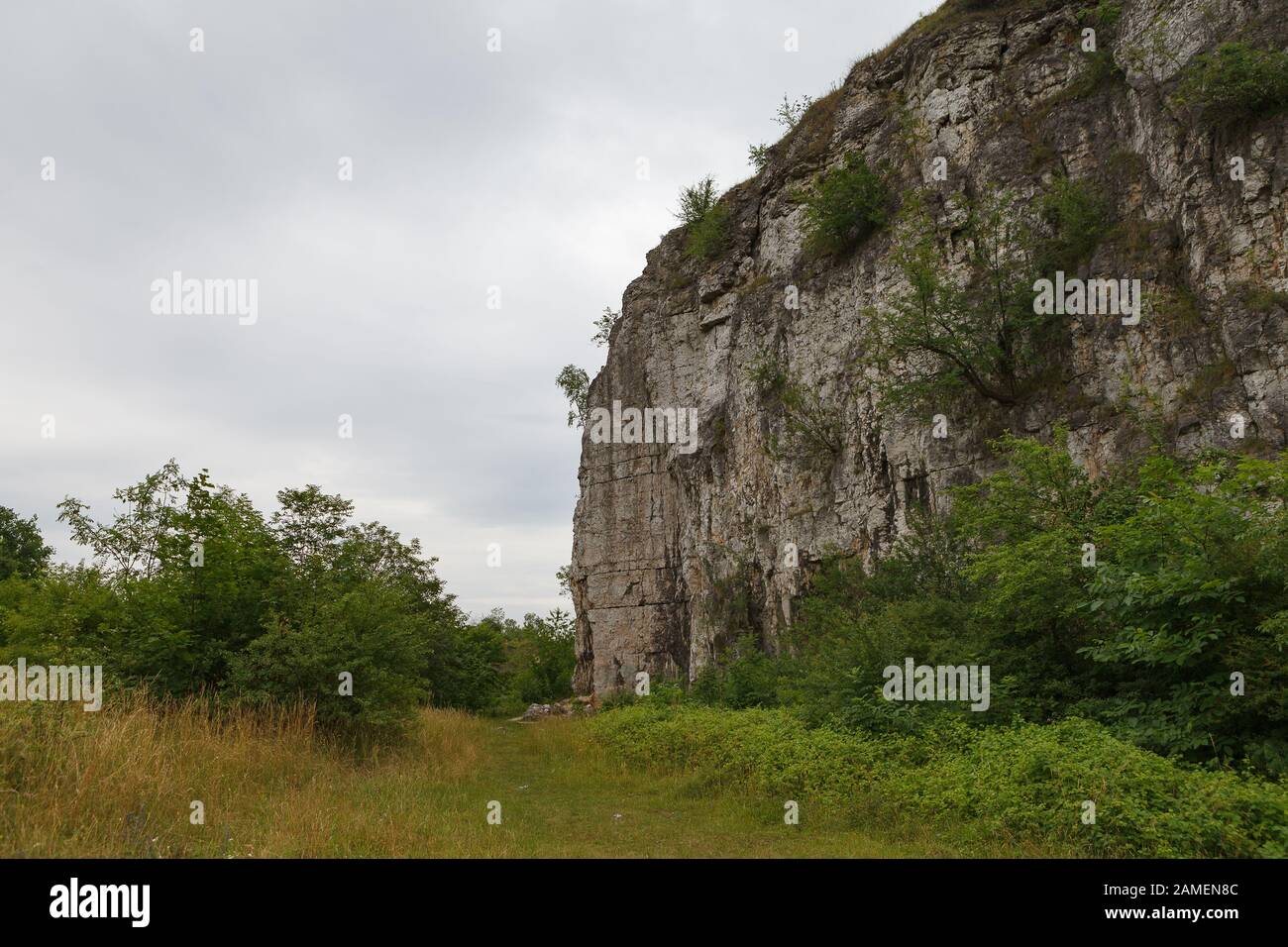 Steep slope of limestone rock covered with grass and bushes Stock Photo ...
