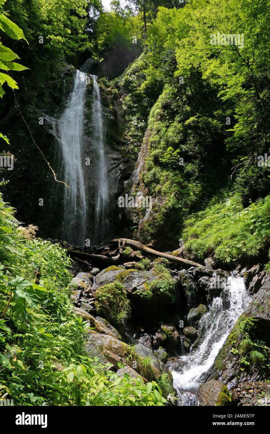 Dakigaeri Gorge or Dakigaeri Valley in Akita Prefecture, Japan, Asia ...